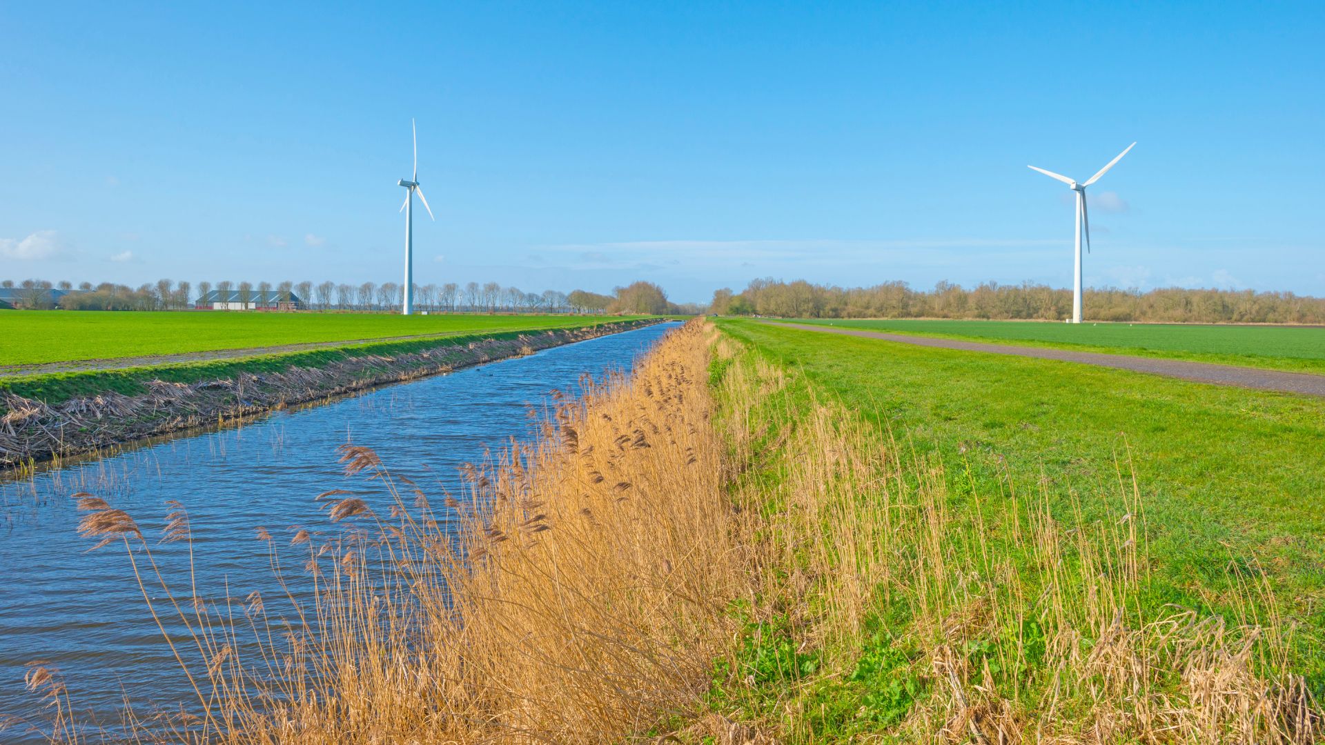 Natuurherstel in Flevoland krijgt groen licht met ruim 19 miljoen euro ...