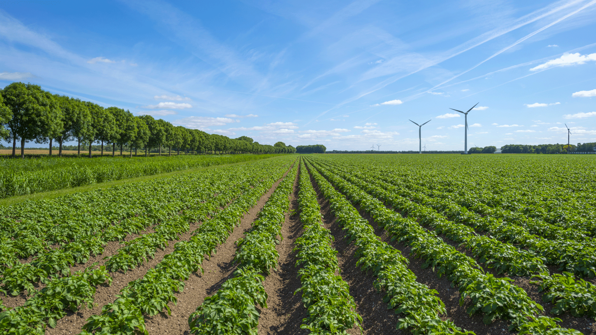 Flevolands Programma Landelijk Gebied: een aanpak waarin ...