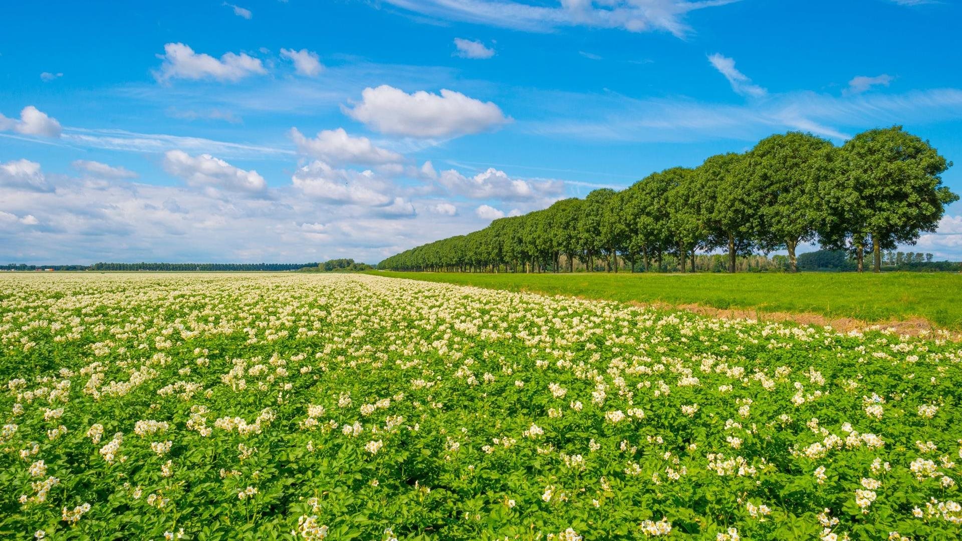 Samen natuur, water en klimaat verbeteren - Provincie Flevoland